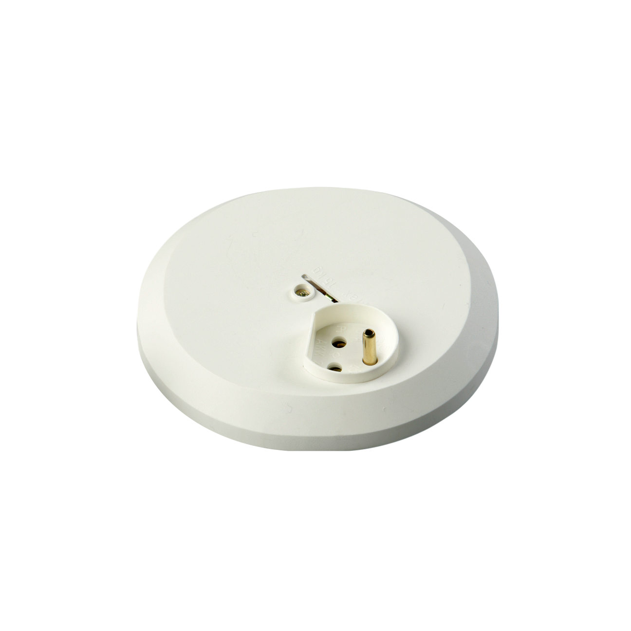 Surface mounted ceiling rose with a lighting plug socket, earthed ...