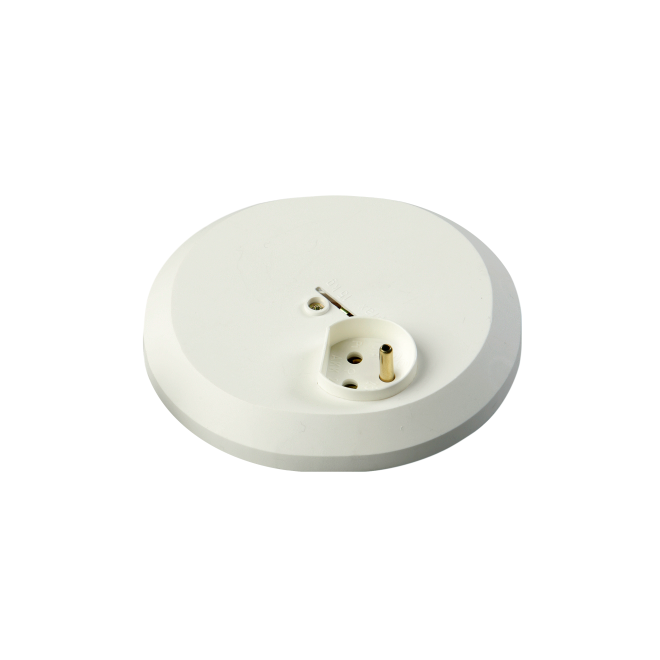 Surface mounted ceiling rose with a lighting plug socket, earthed ...