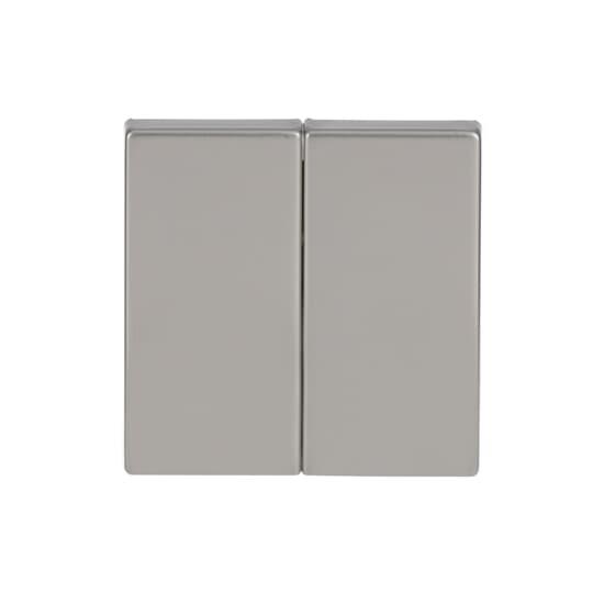 Switch rocker, 2-gang, steel | ABB Oy, Wiring accessories