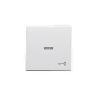 1-gang rockers with transparent lens and ''key'' symbol, IP21/IP44 ...