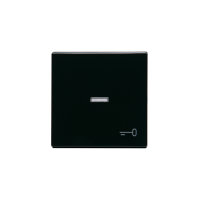 1-gang rockers with transparent lens and ''key'' symbol, IP21/IP44 ...